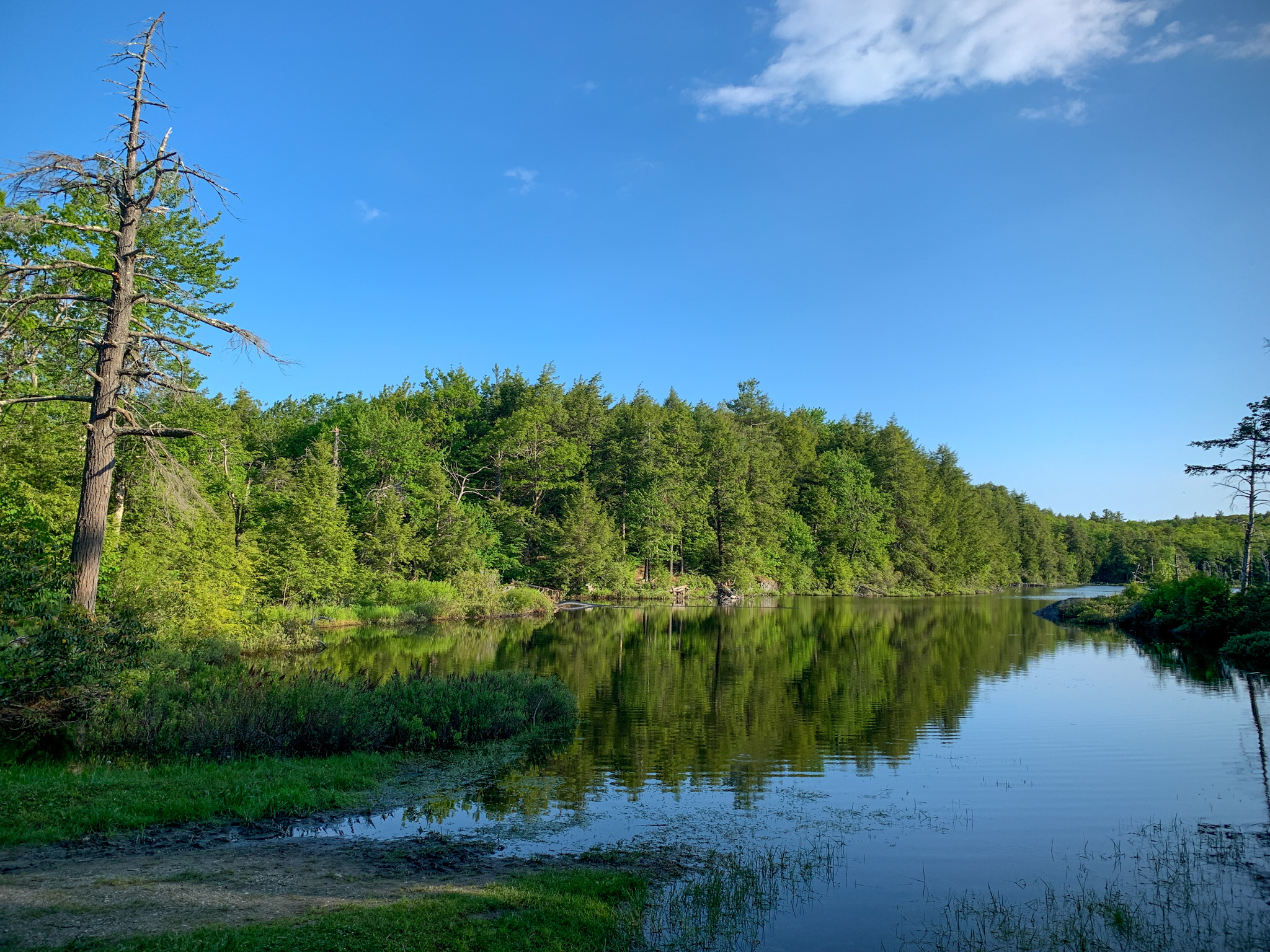 Trails – Massachusetts, 2020 – dirk flachbart